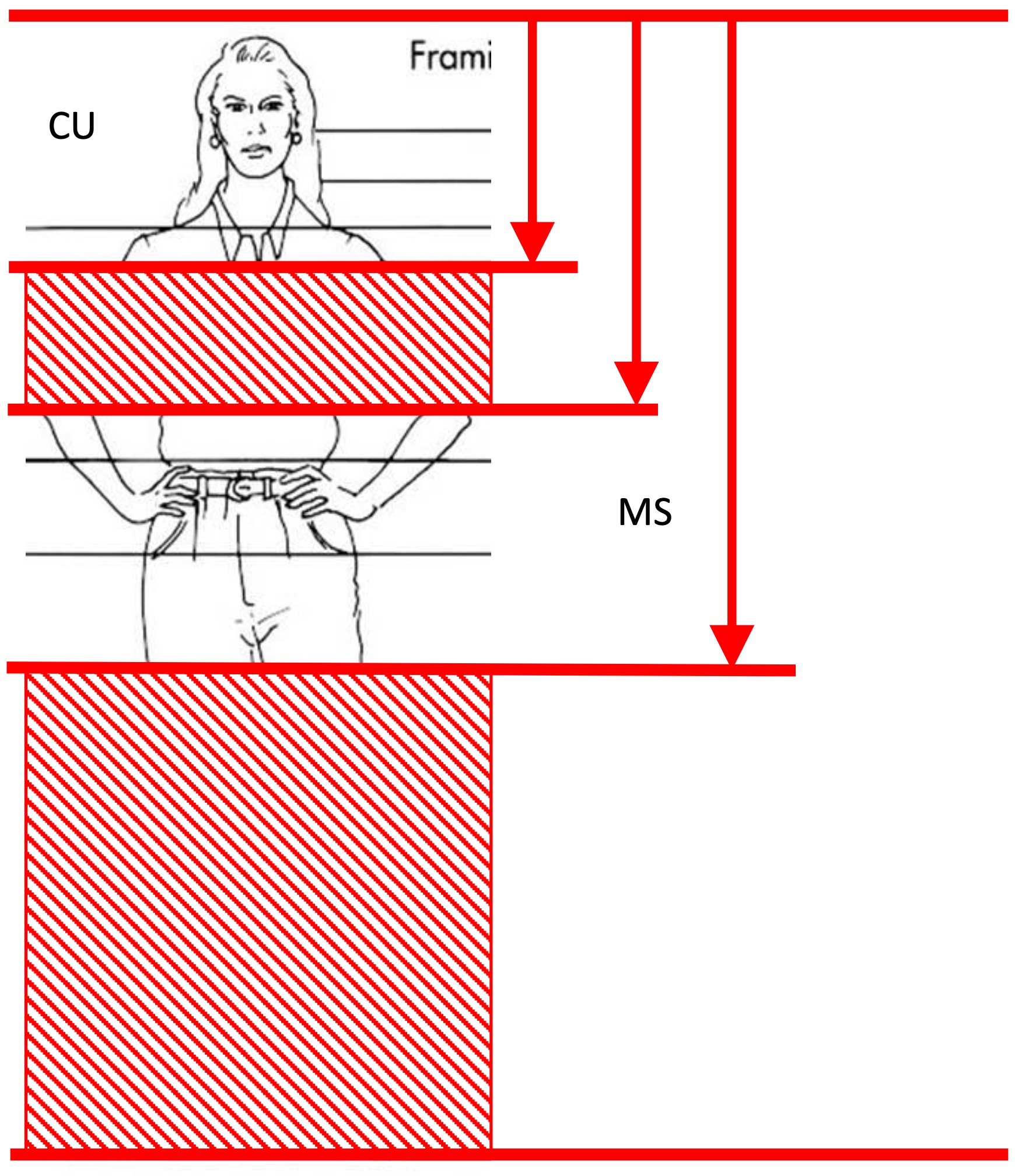 VHH-MMSI Manual: Editing Shot Type Classifications – Visual History of ...